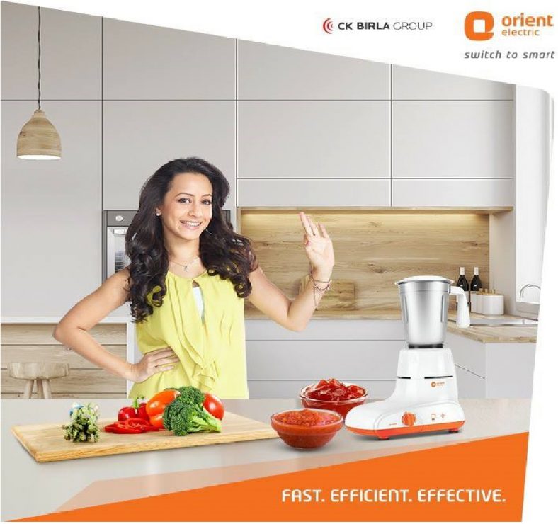 Who is the owner of Orient Electric Company | Wiki | Profile